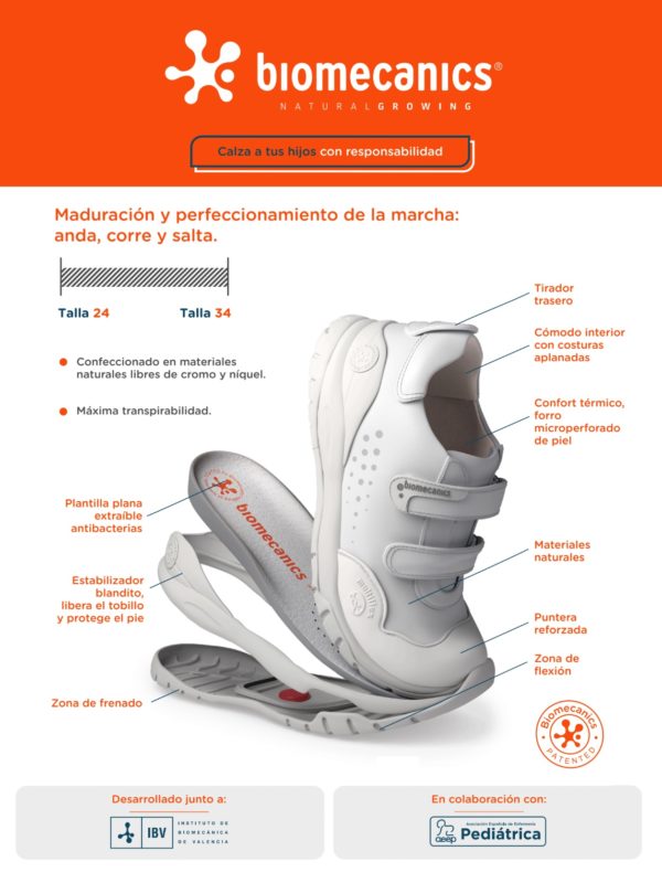 Infografia_Bioevolution • My Cool Family
